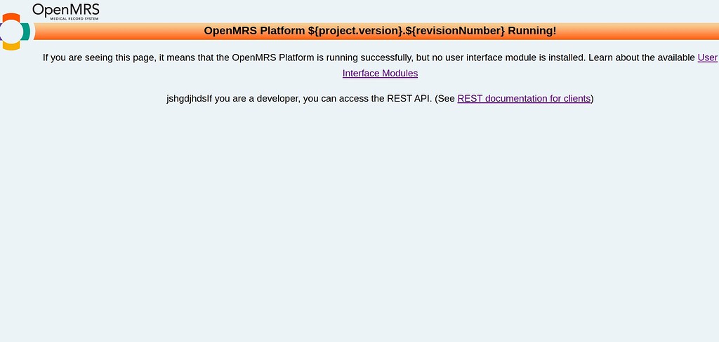 Unable to start OpenMRS core. - Ask OpenMRS - OpenMRS Talk