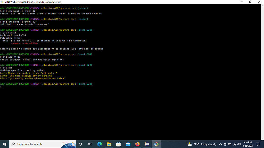 how to create a sub branch to avoid working from the master branch - OpenMRS Talk
